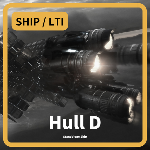 Space-Foundry.com: Hull D LTI Insurance - CCU'd Ship