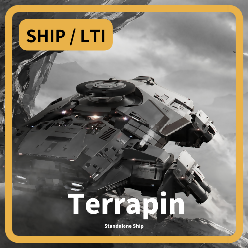 Space-Foundry.com: Terrapin LTI Insurance - CCU'd Ship