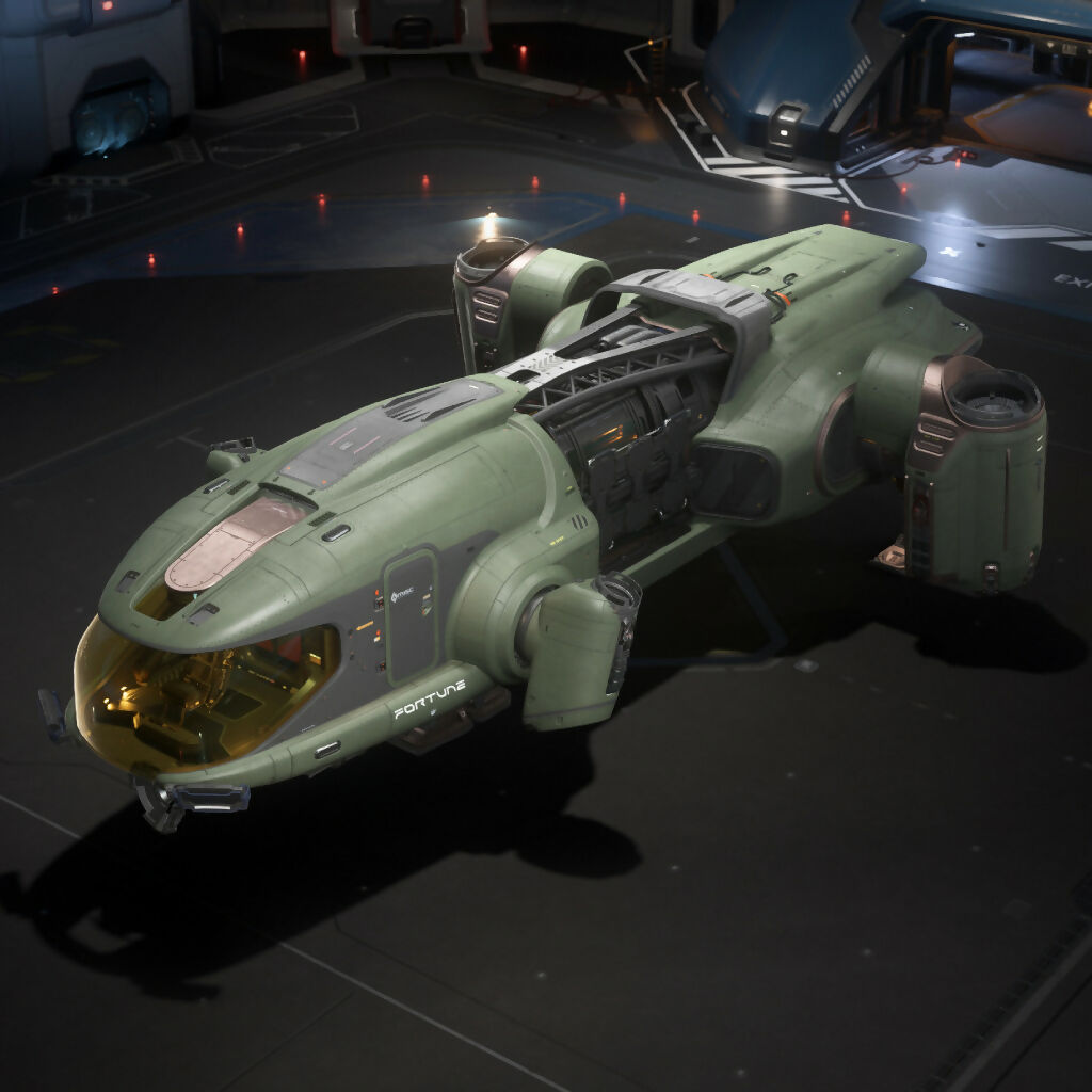 Space-Foundry.com: Fortune - Highlander Paint